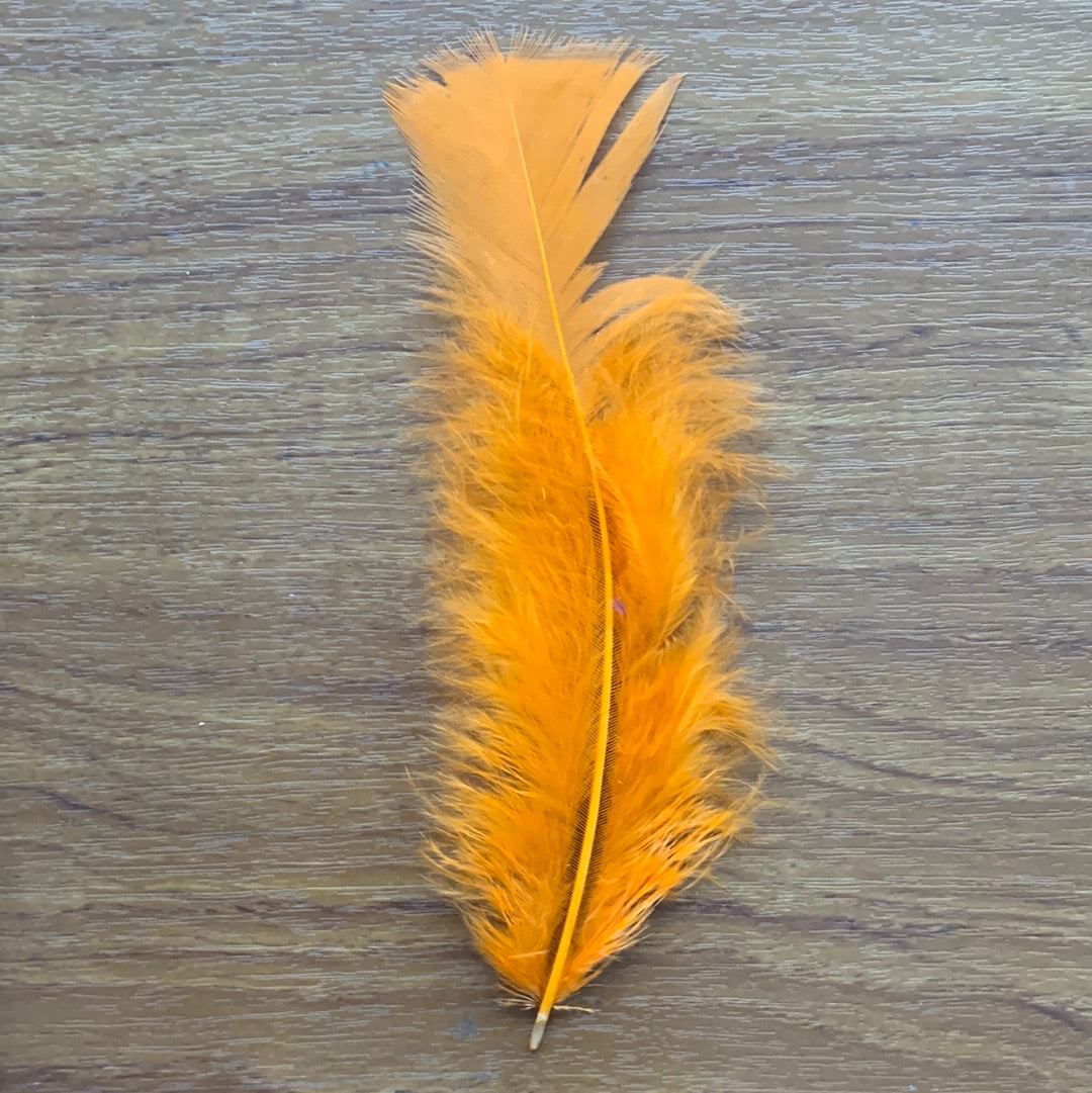 LUCKY Evil Eye Intention Feather for Warding Evil Eye, Negativity, Bad ...